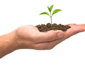 MÉTODO CULTURAL EN EL CONTROL DE PLAGAS - Revista Infoagro México