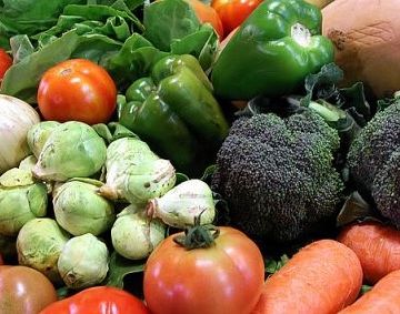 BENEFICIOS DE ENRAIZADORES APLICADOS EN LA AGRICULTURA. - Revista ...