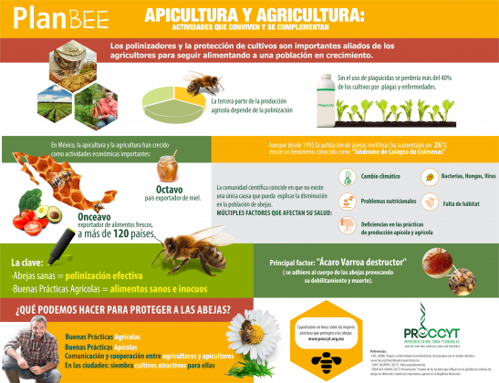 Prácticas Que Contribuyen A La Salud De Las Abejas Y A La Producción De