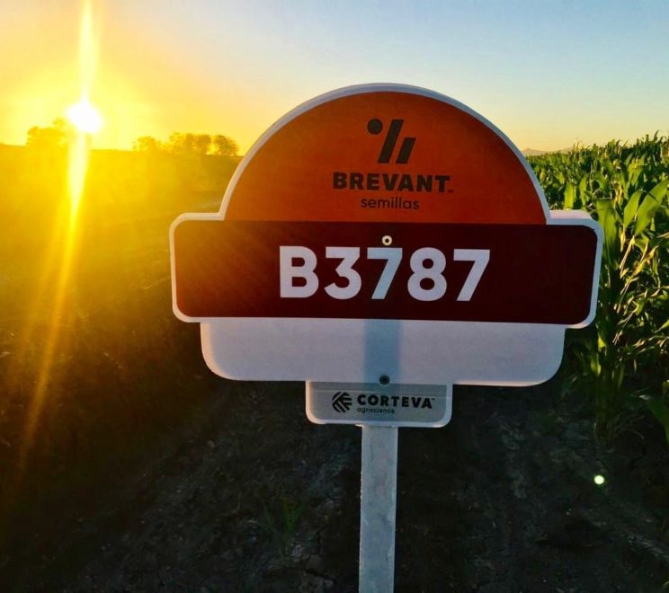 Brevant – Revista Infoagro México