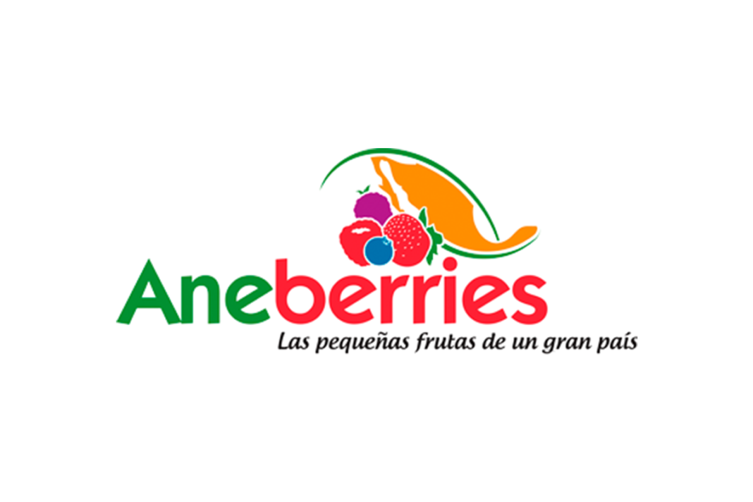 ANEBERRIES ultima la puesta en marcha el próximo año la certificación ...