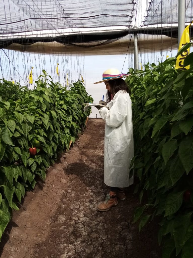 Infoagro Autor En Revista Infoagro México