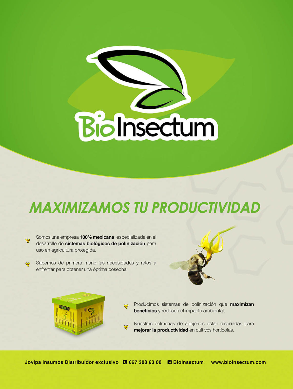 Aplicación de insecticidas contra las plagas del suelo - Revista ...