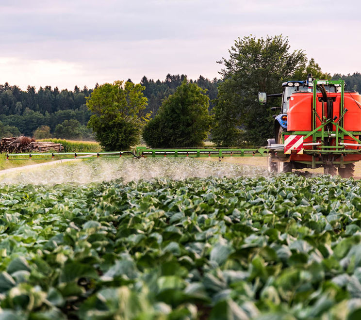 Artículos Revista Infoagro México
