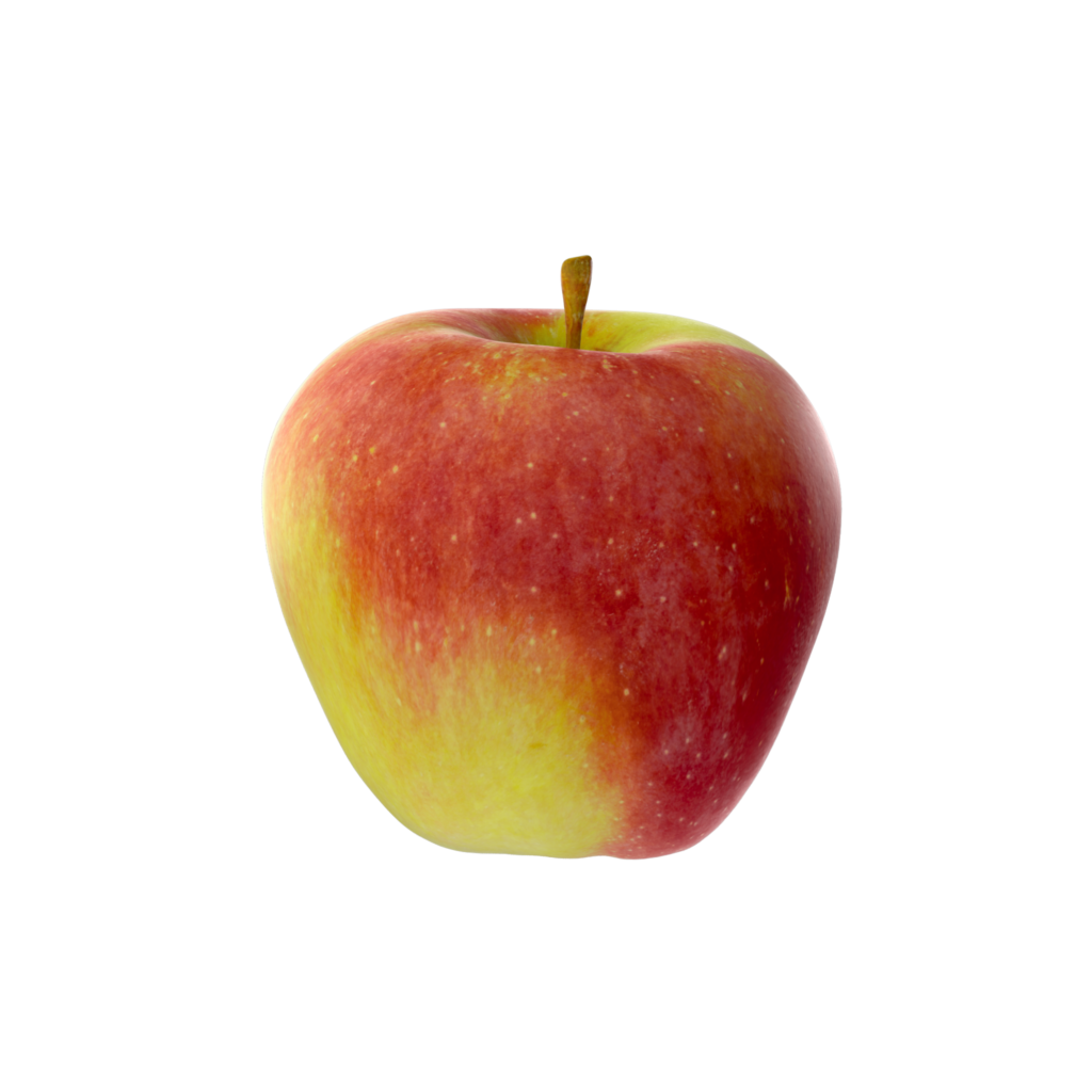 Variedades de manzana - Revista Infoagro México