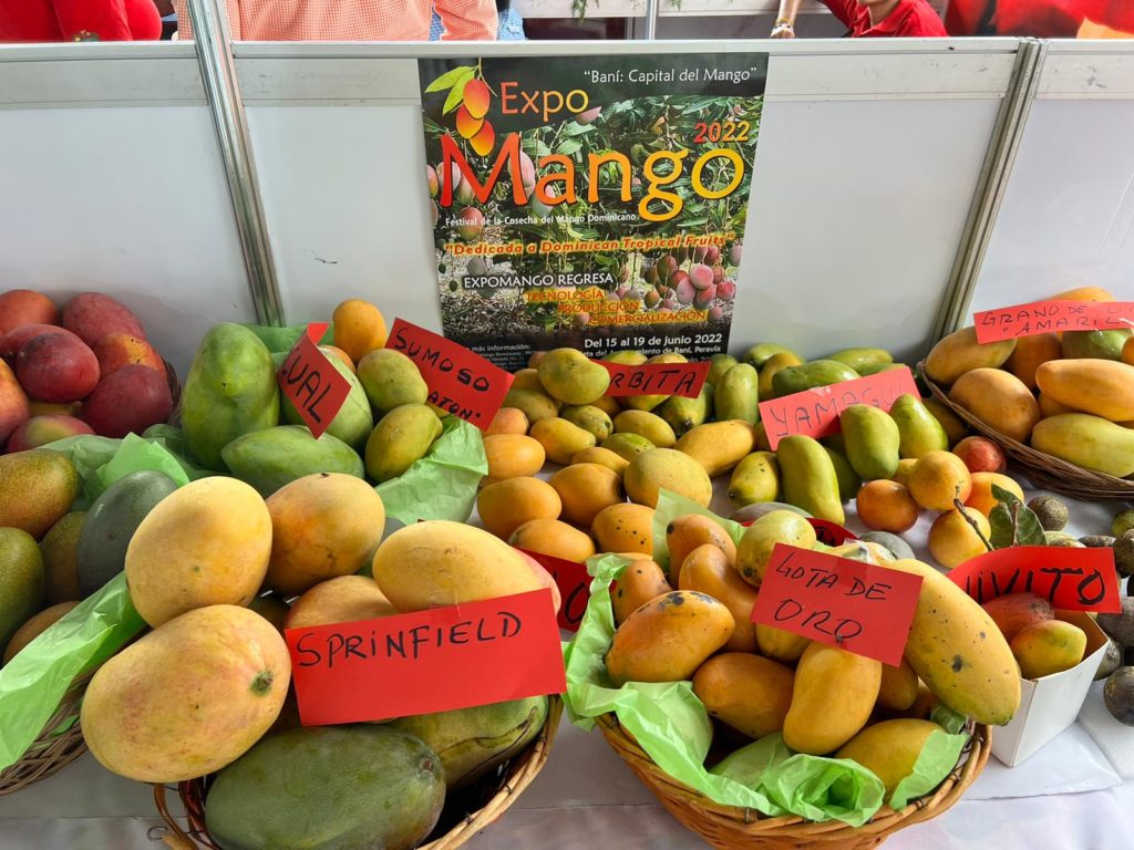 La multitudinaria feria Expo Mango ratifica la identidad autóctona del ...