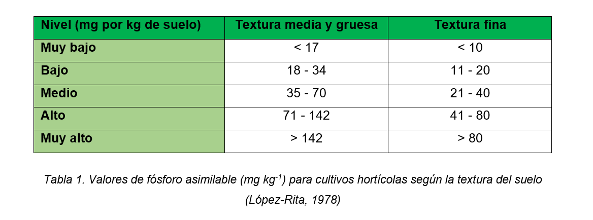 El papel del fósforo en la nutrición - Revista InfoAgro México