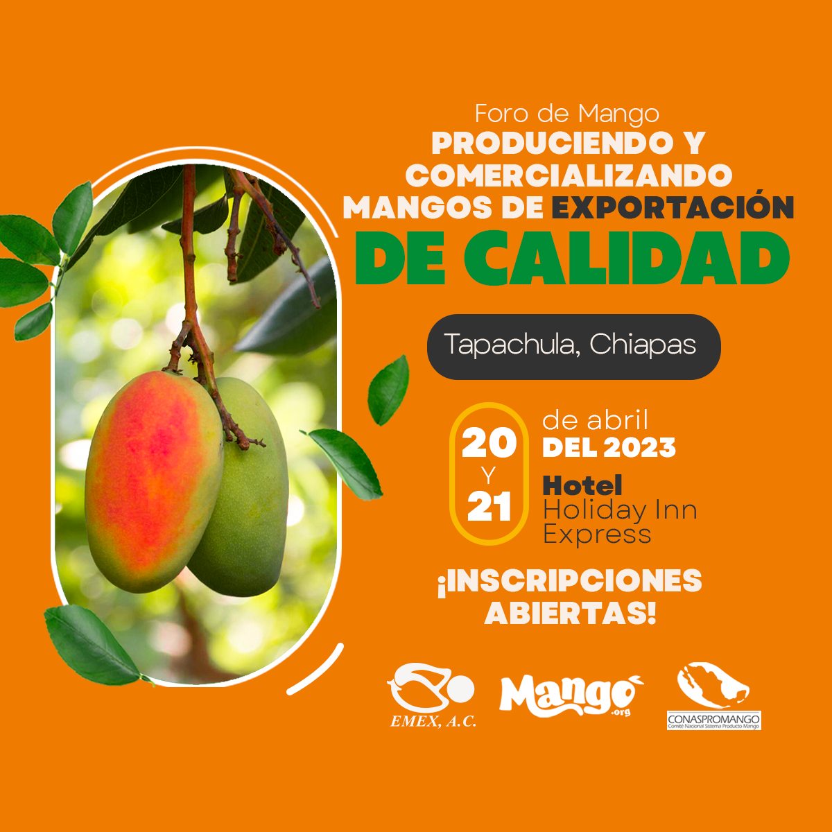 En marcha el Foro Produciendo y Comercializando Mangos de Exportación ...
