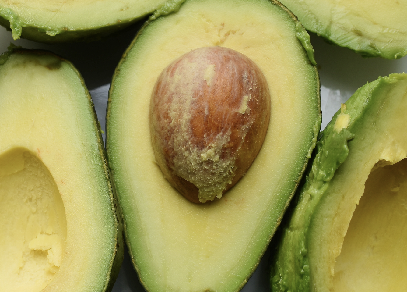Tipos de contaminantes en el aguacate - Revista InfoAgro México