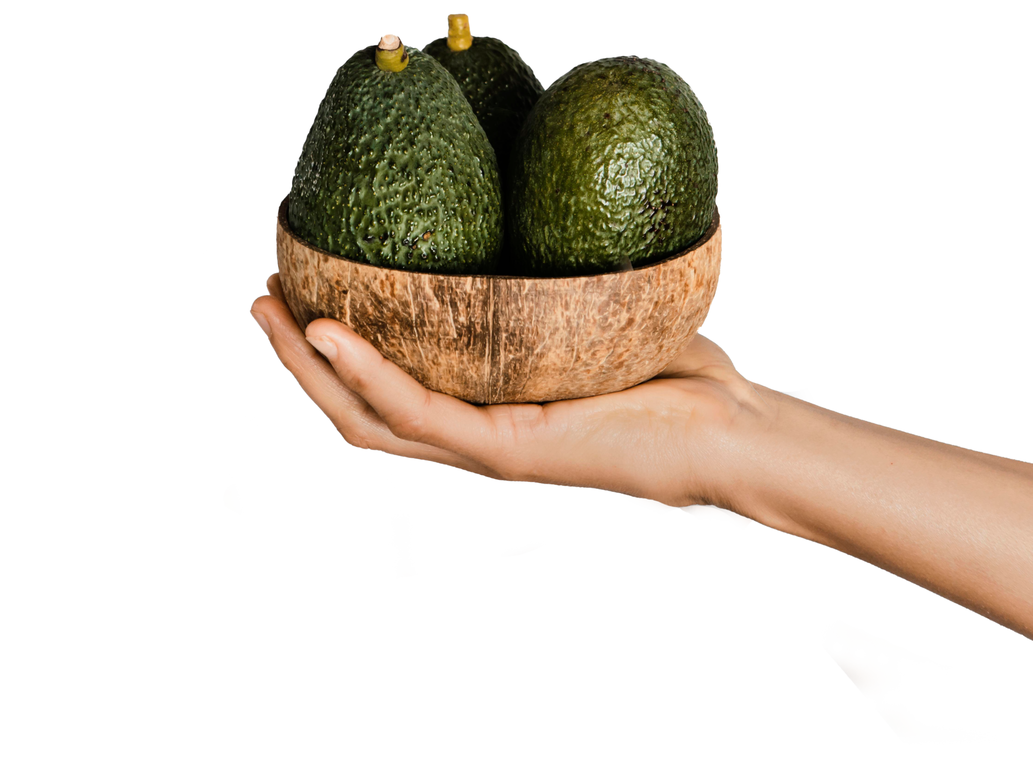 ¿Por qué la variedad Hass? - Revista InfoAgro México