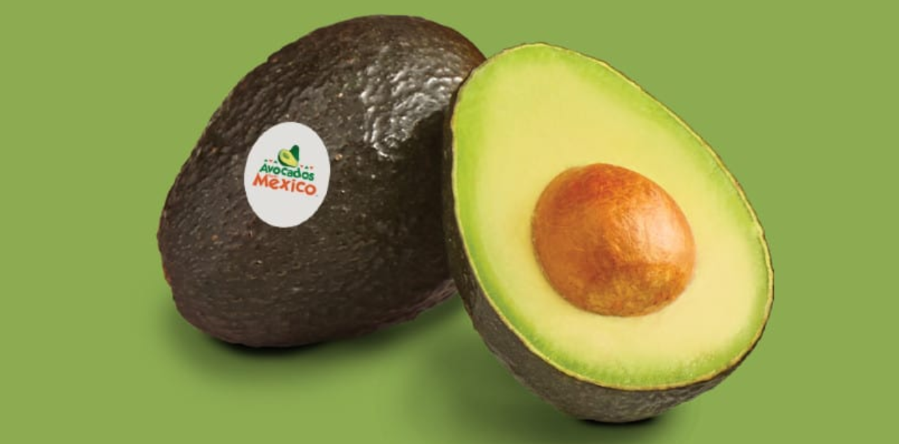 El secreto de la APEAM para cultivar conexiones globales entre ...