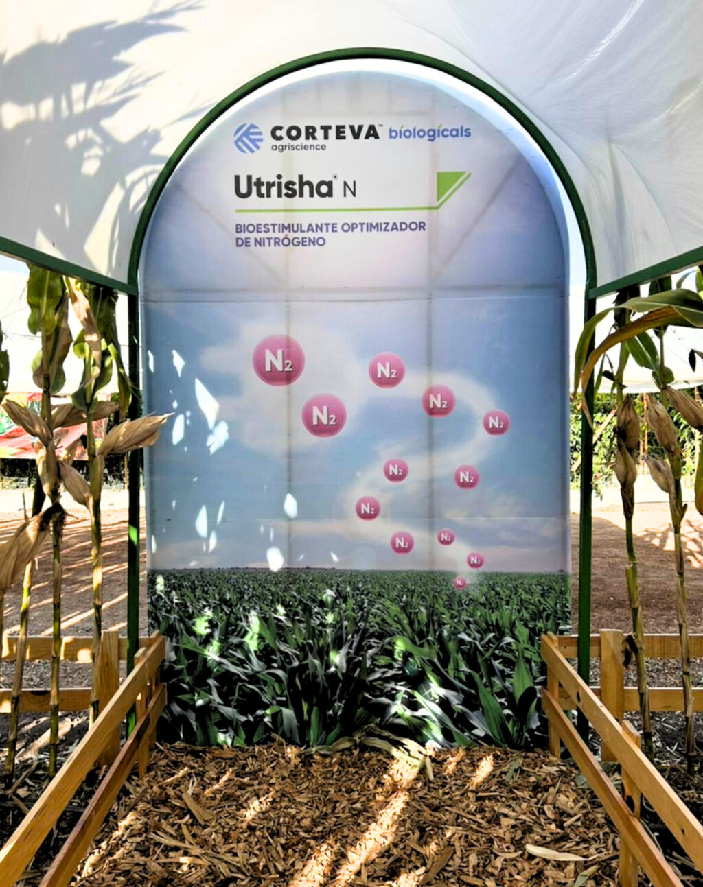 Productos Biológicos: Una innovación agrícola que necesitamos ...