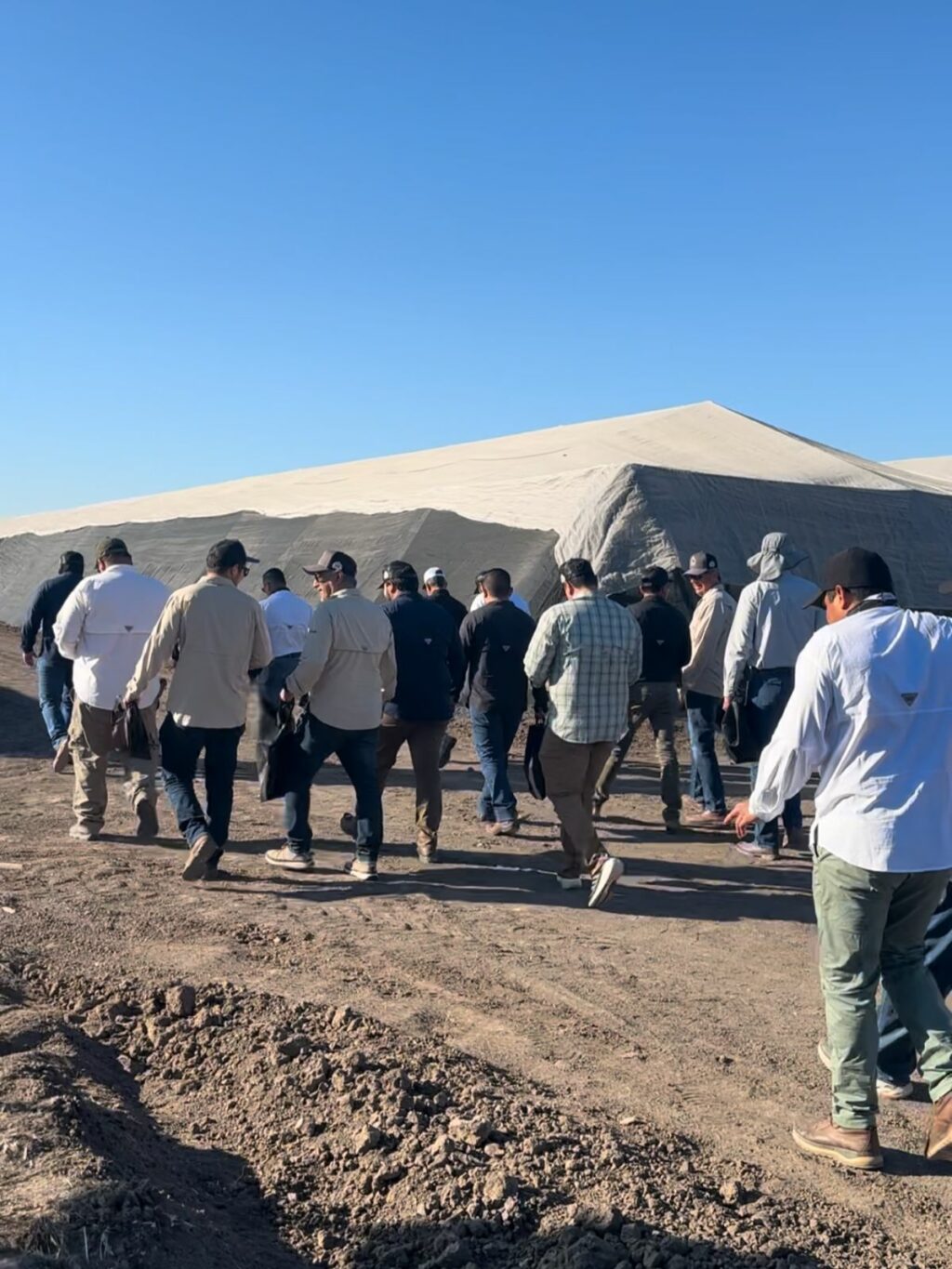 ¡Lark Seeds presenta Nuevos Híbridos! - Revista InfoAgro México