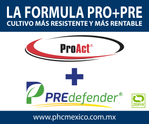 El secreto de la APEAM para cultivar conexiones globales entre ...
