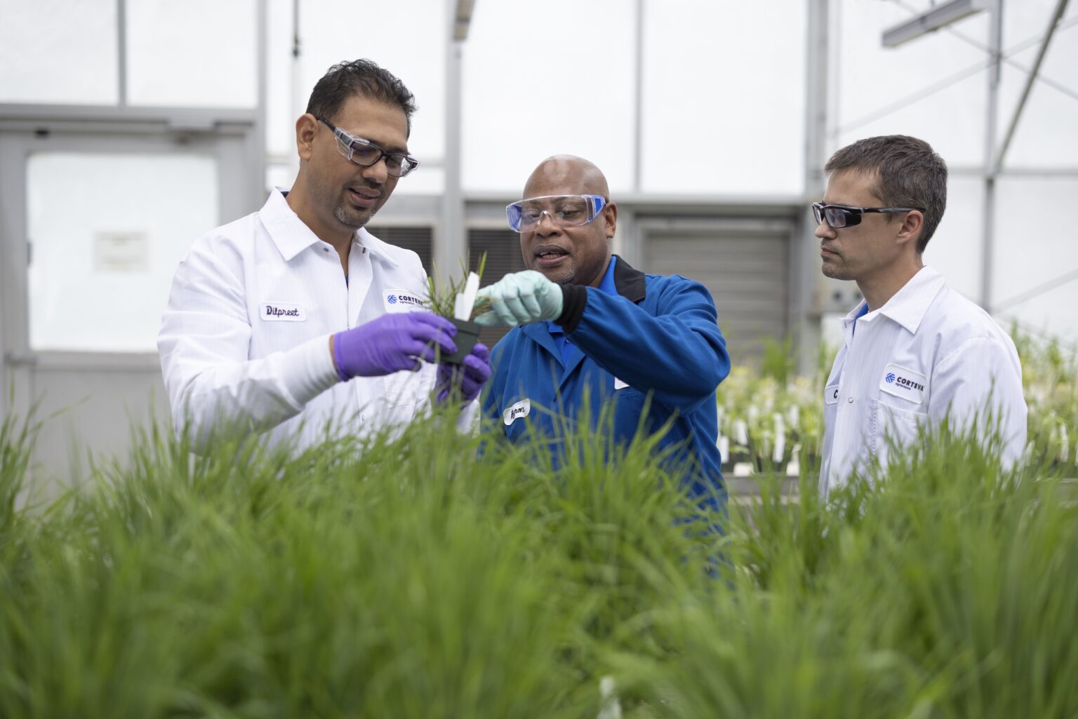 Corteva innova con portafolio educativo para capacitar a los ...