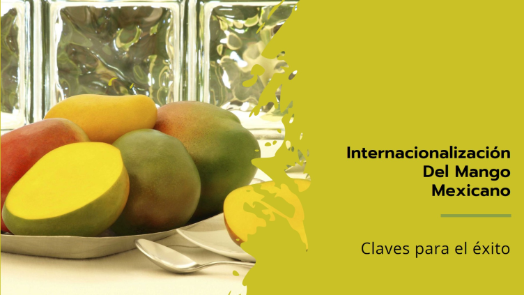 Internacionalización del mango mexicano - Revista InfoAgro México