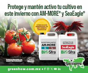 Producción Y Exportación De Jitomate Revista Infoagro México