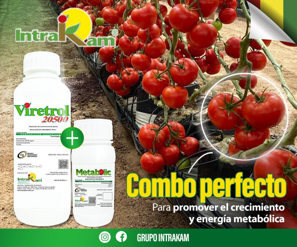 El Manejo Integrado De Plagas Mip Revista Infoagro México