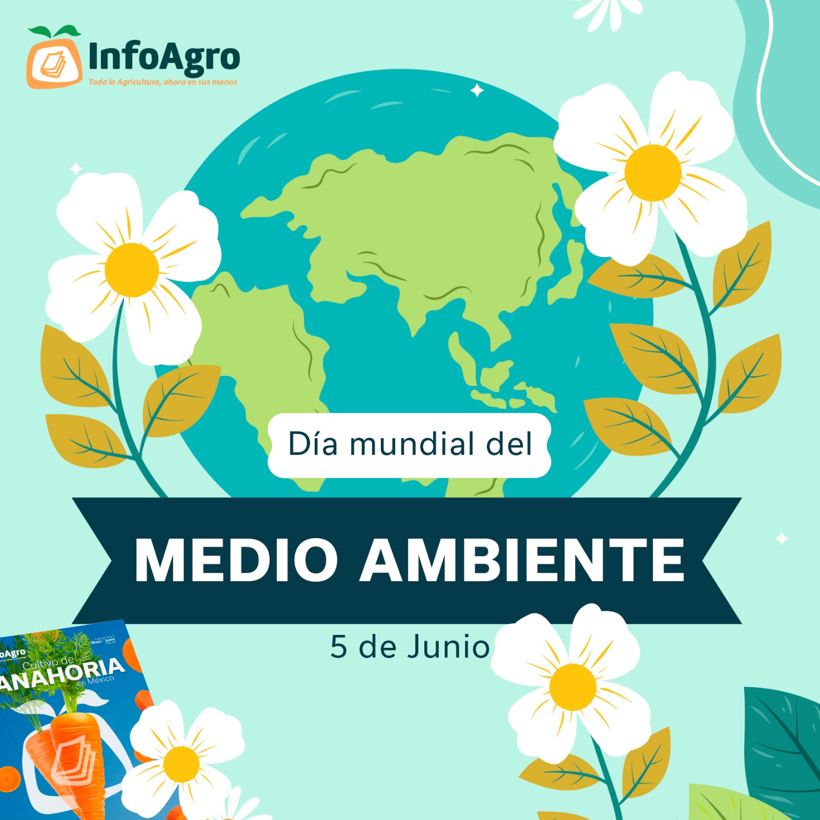 Día Mundial del Medio Ambiente: su importancia para el agro en México ...