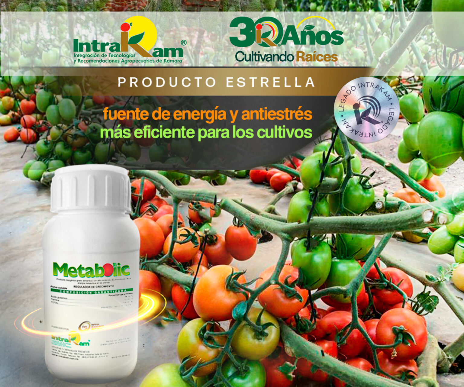 MÉTODO CULTURAL EN EL CONTROL DE PLAGAS - Revista InfoAgro México