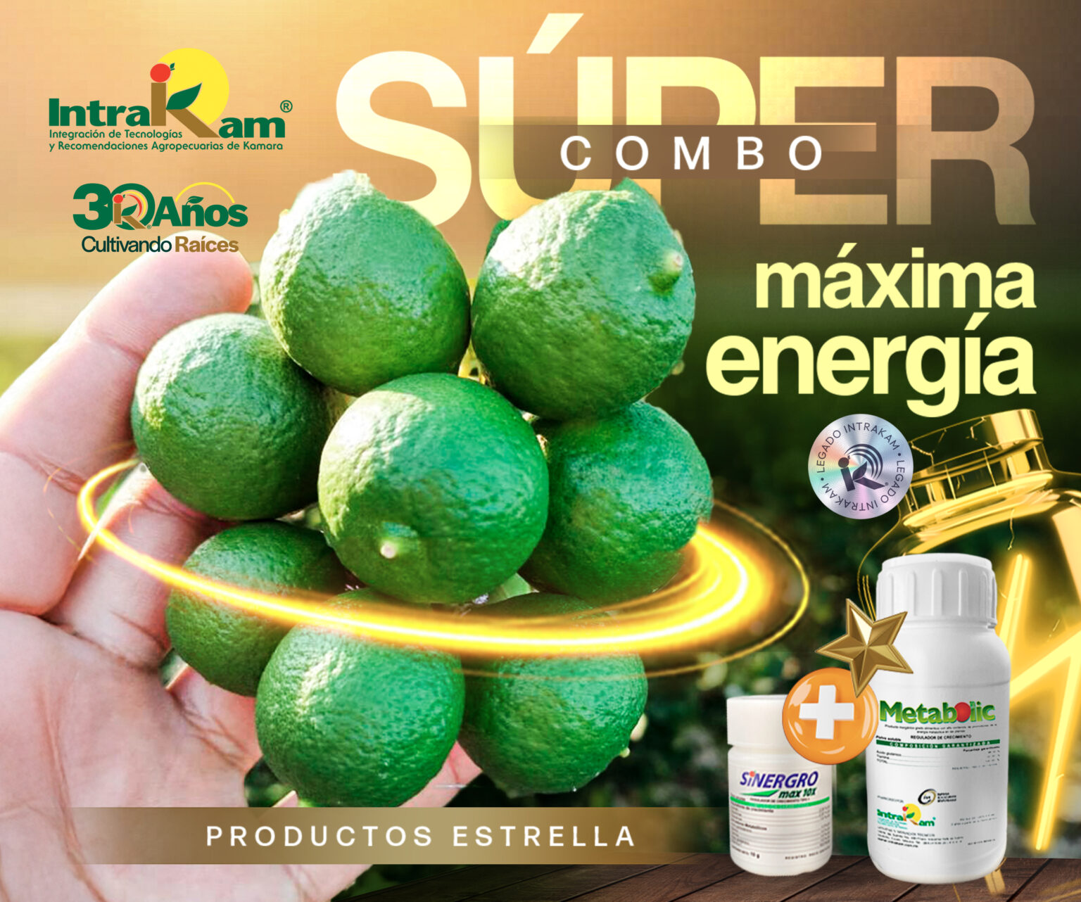 El secreto de la APEAM para cultivar conexiones globales entre ...