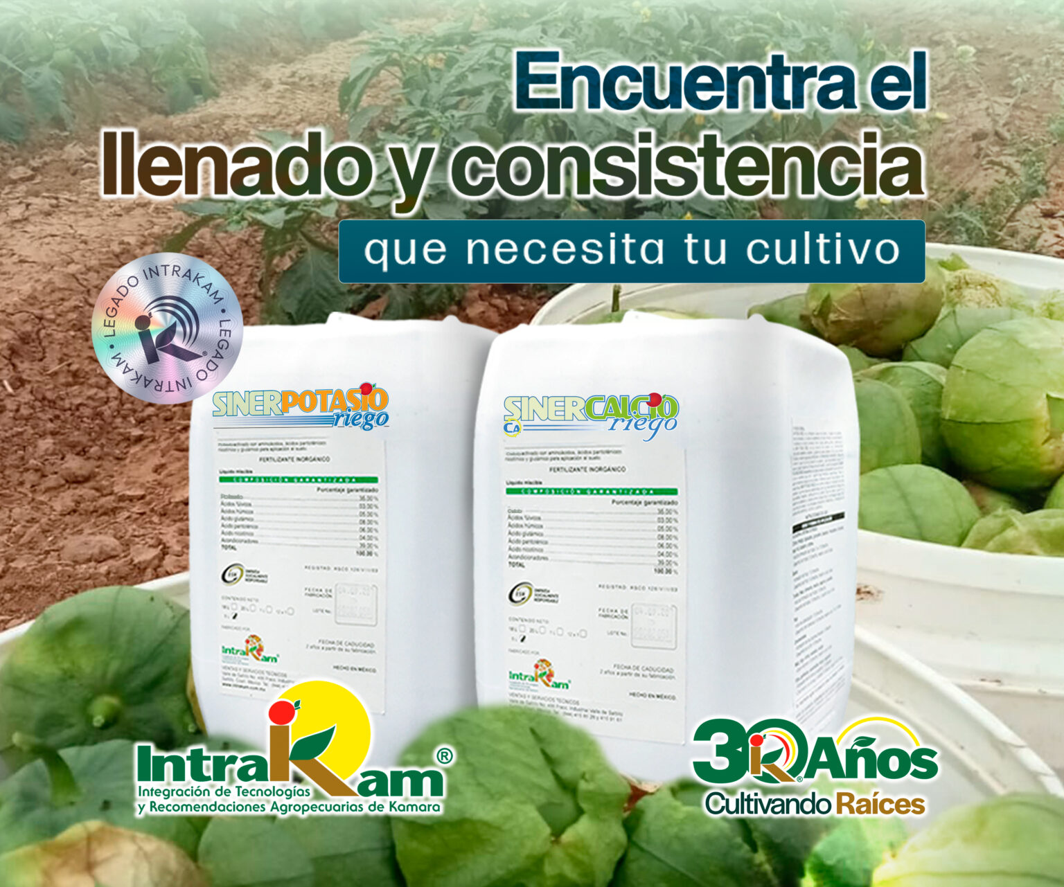 El secreto de la APEAM para cultivar conexiones globales entre ...