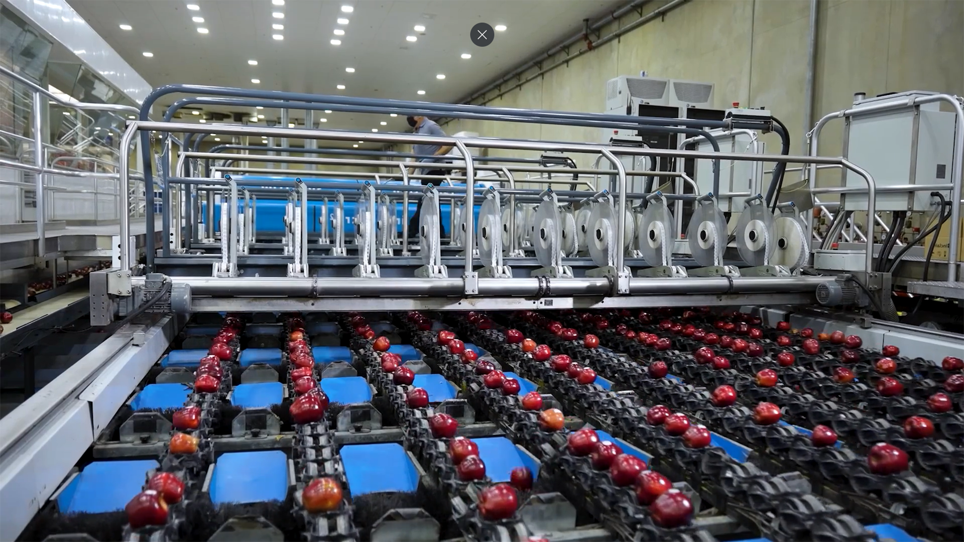 Washington Fruit Growers y Sinclair celebran más de 30 años de ...