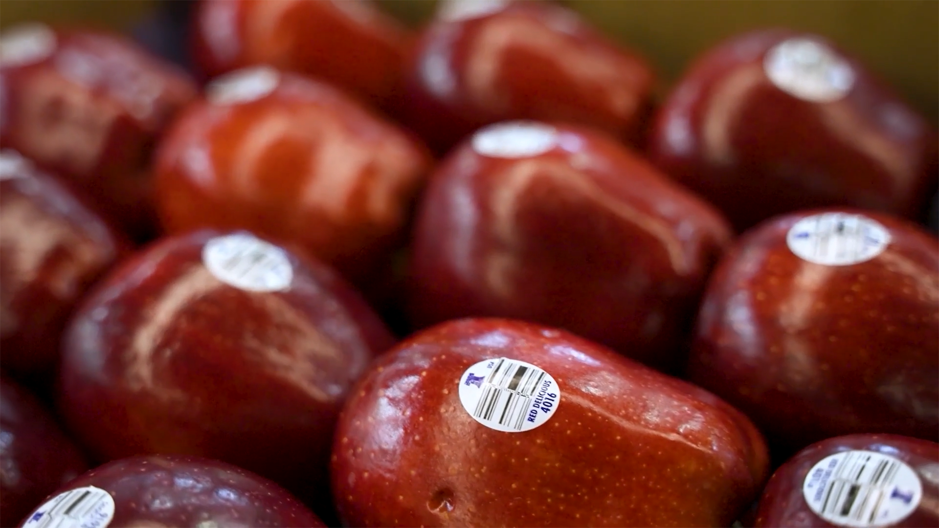 Washington Fruit Growers y Sinclair celebran más de 30 años de ...